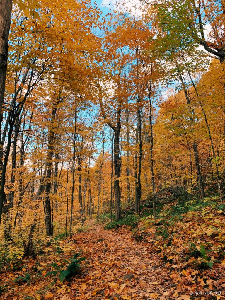 Les couleurs d'automne au Parc National du Mont-Mégantic
